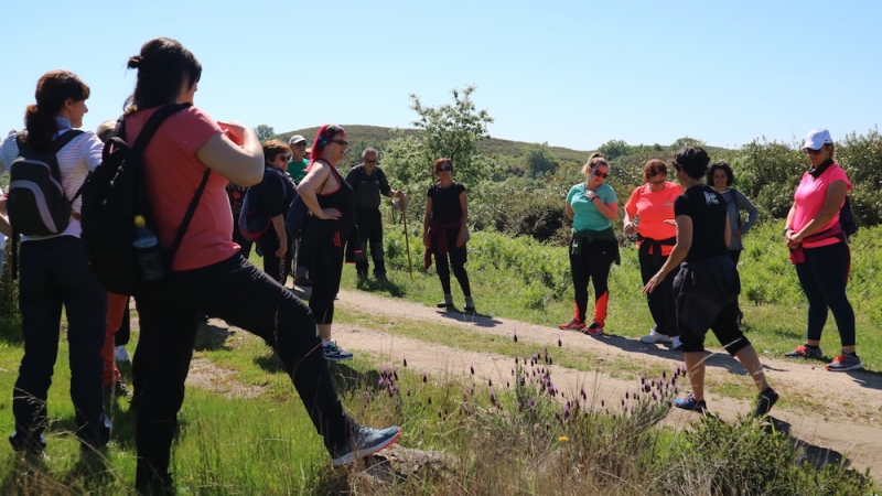 Biomecánica de la Marcha: el arte de caminar - Movimiento Summa
